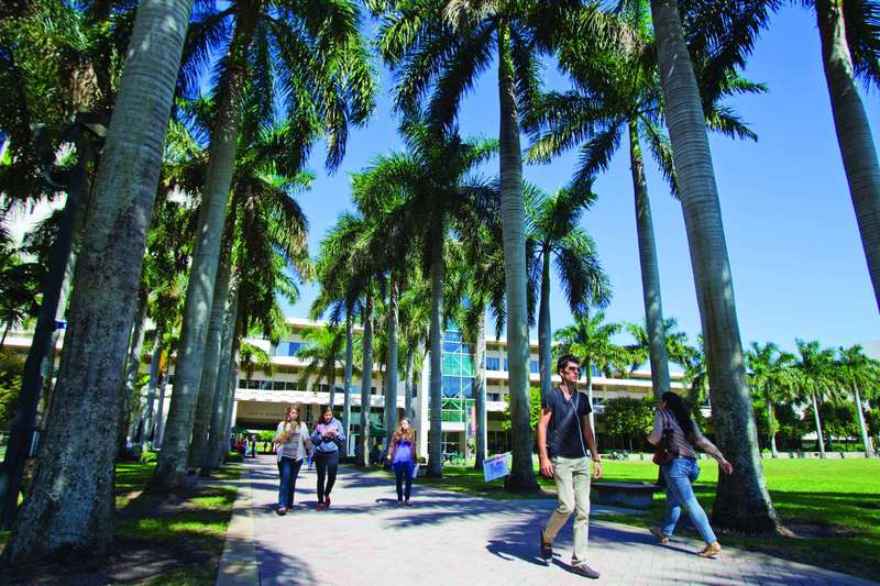 University of Miami: #378 in Money's 2019-20 Best Colleges Ranking